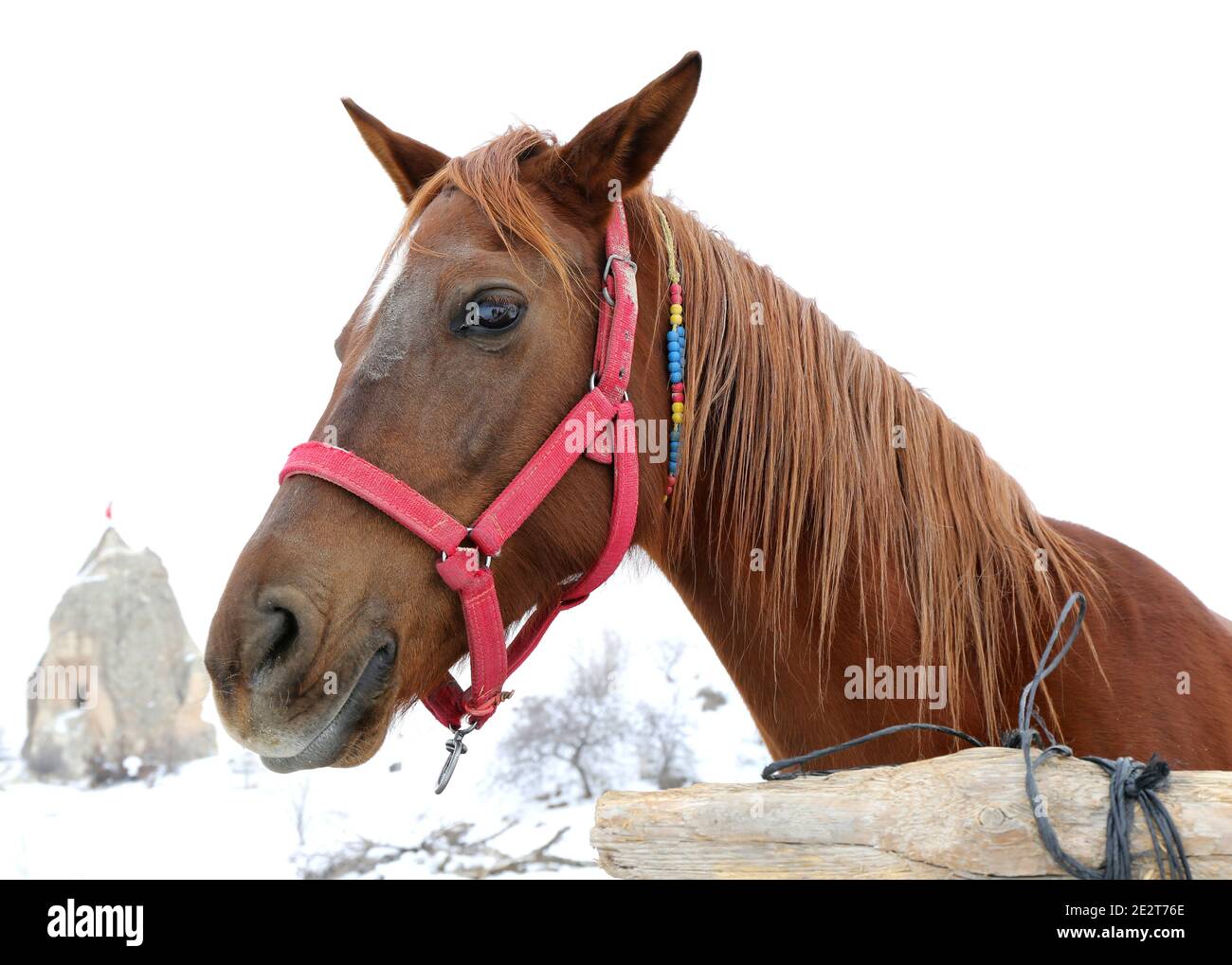 Ranch cappadocia hi-res stock photography and images - Alamy