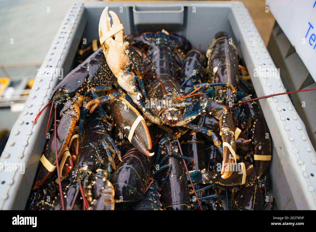 Scottish fisherman hi-res stock photography and images - Alamy