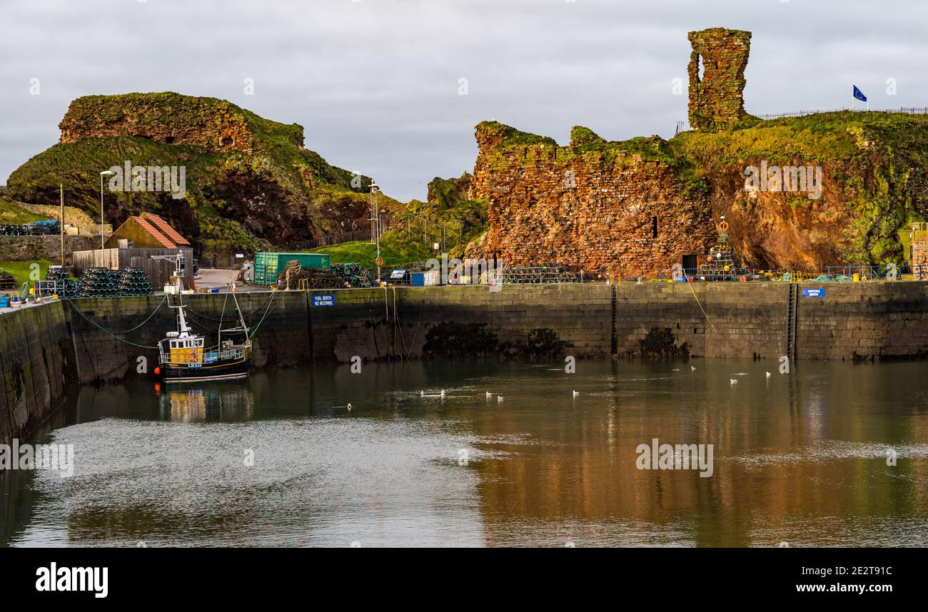 Dunbar castle scotland hi-res stock photography and images - Alamy