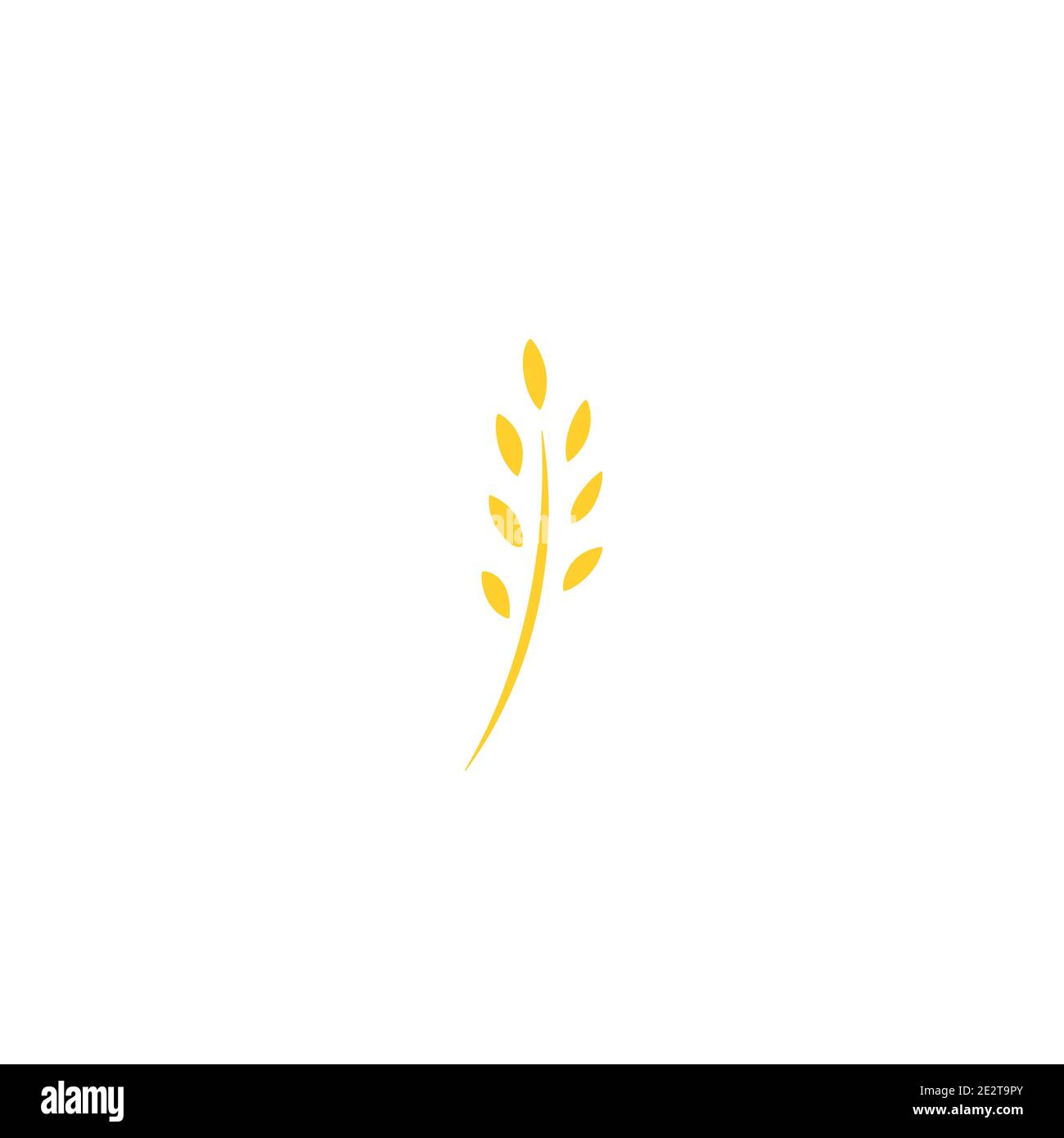Barley crop august Stock Vector Images - Alamy