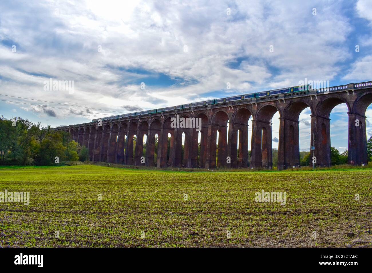 Railway train on a viaduct bridge in Sussex, UK Stock Photo - Alamy