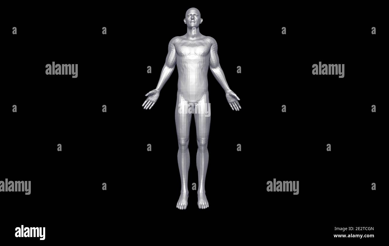 3d male model medium resolution solid surface object . Polygonal man ...