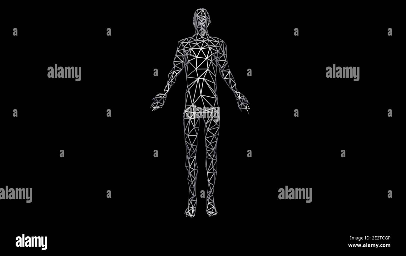 3d male model low resolution wireframe object . Polygonal man standing ...