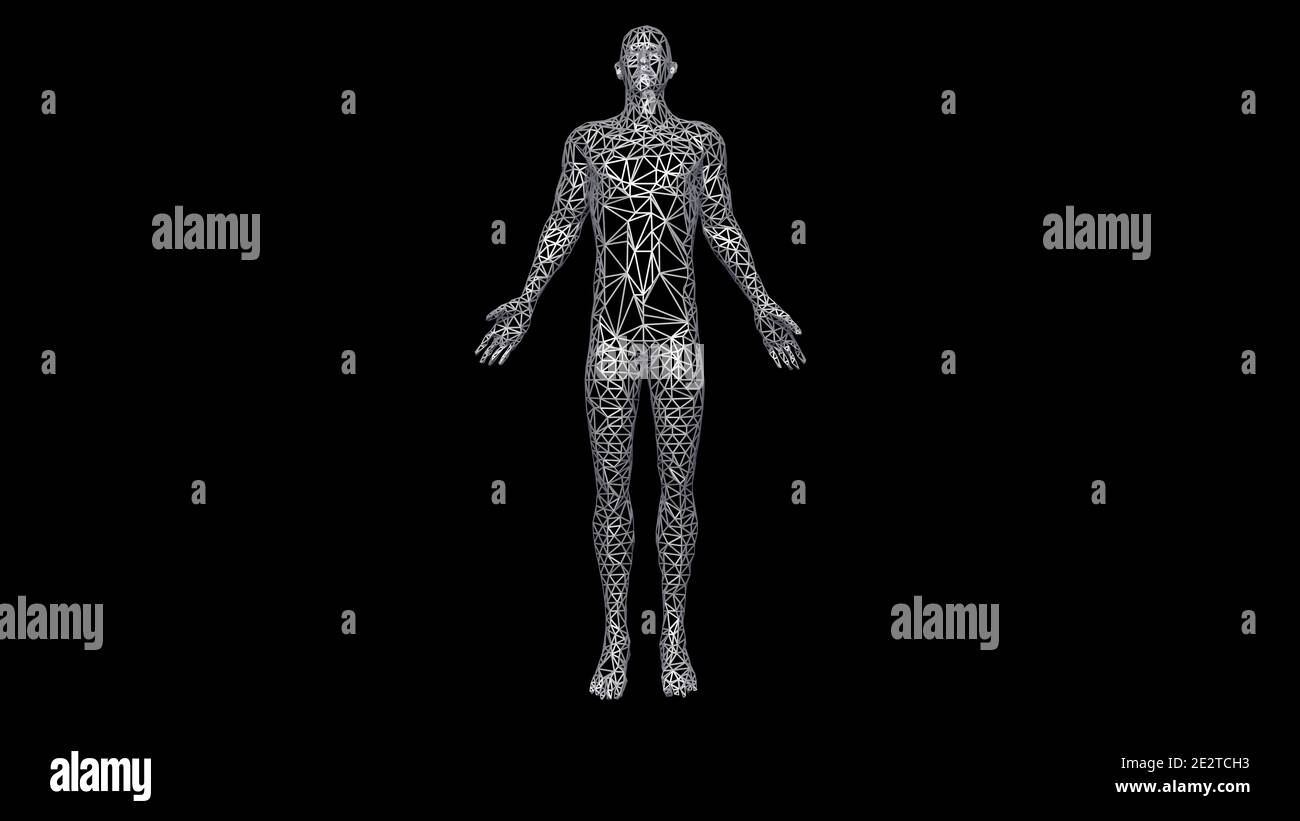 3d male model medium resolution wireframe object . Polygonal man ...