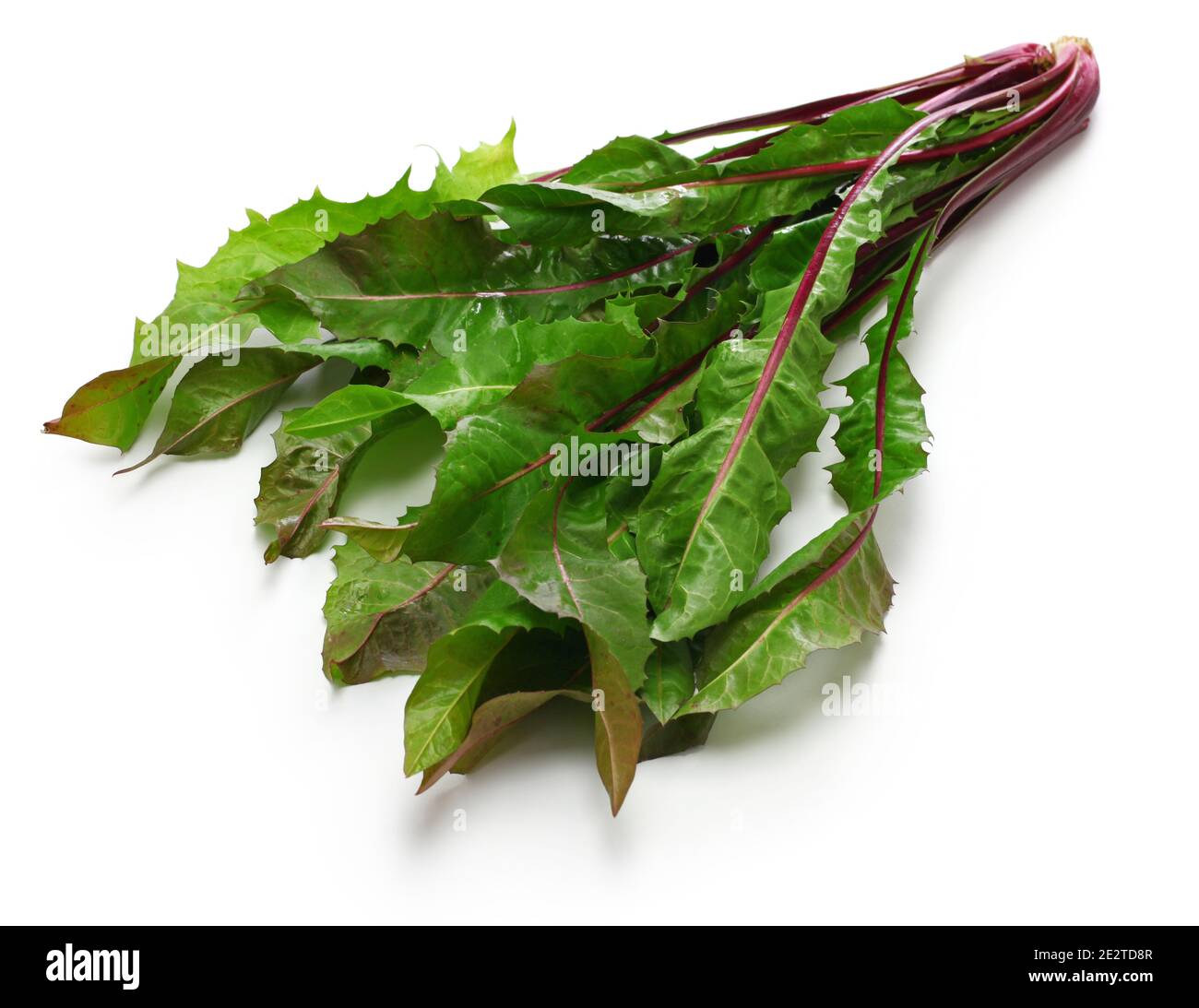 Red italiko hi-res stock photography and images - Alamy