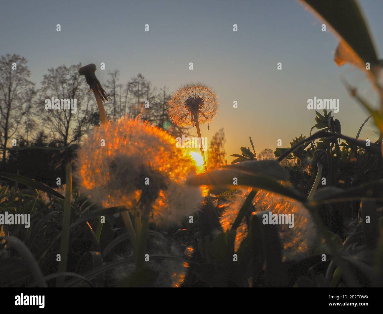 Fused Bulb High Resolution Stock Photography and Images - Alamy