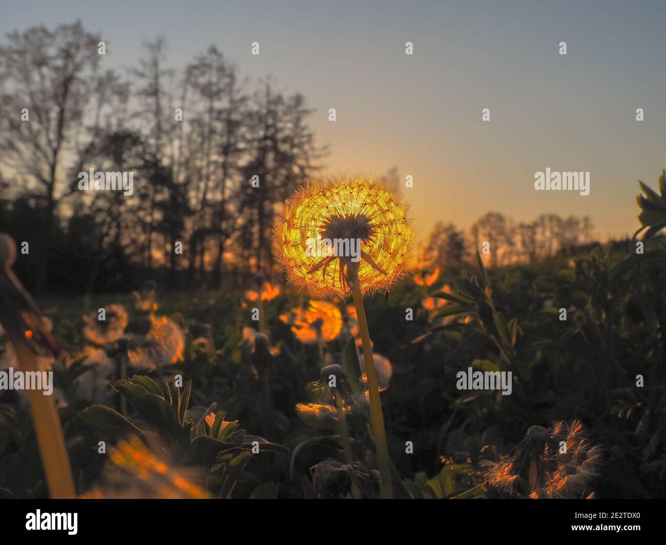 Fused Bulb High Resolution Stock Photography and Images - Alamy