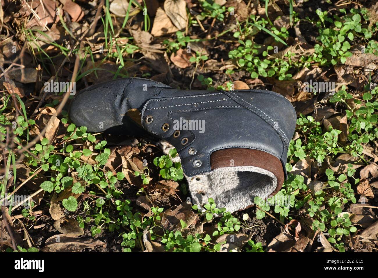 Old ruined black brogue in the grass Stock Photo - Alamy