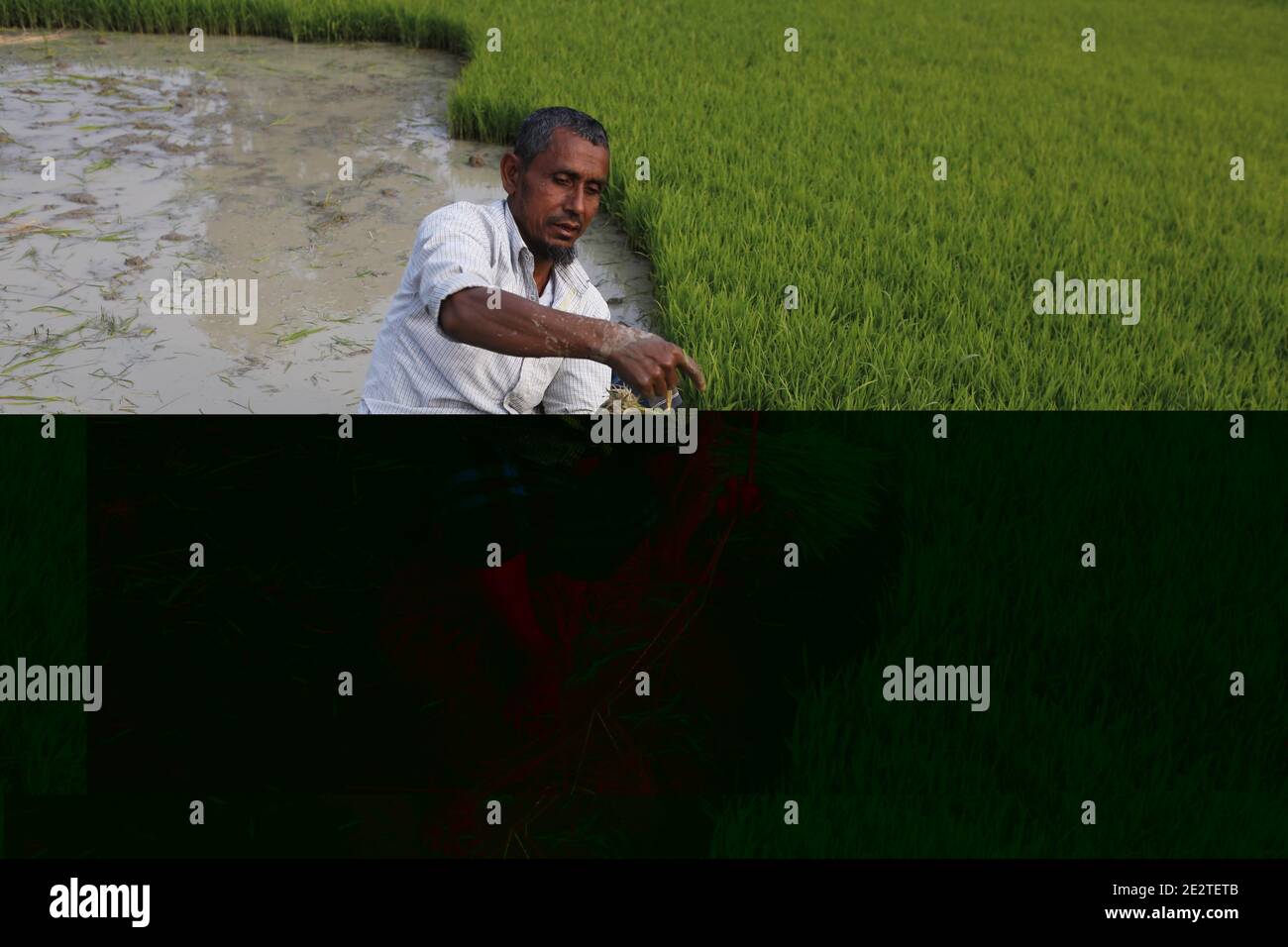 Ankle deep mud hi-res stock photography and images - Alamy