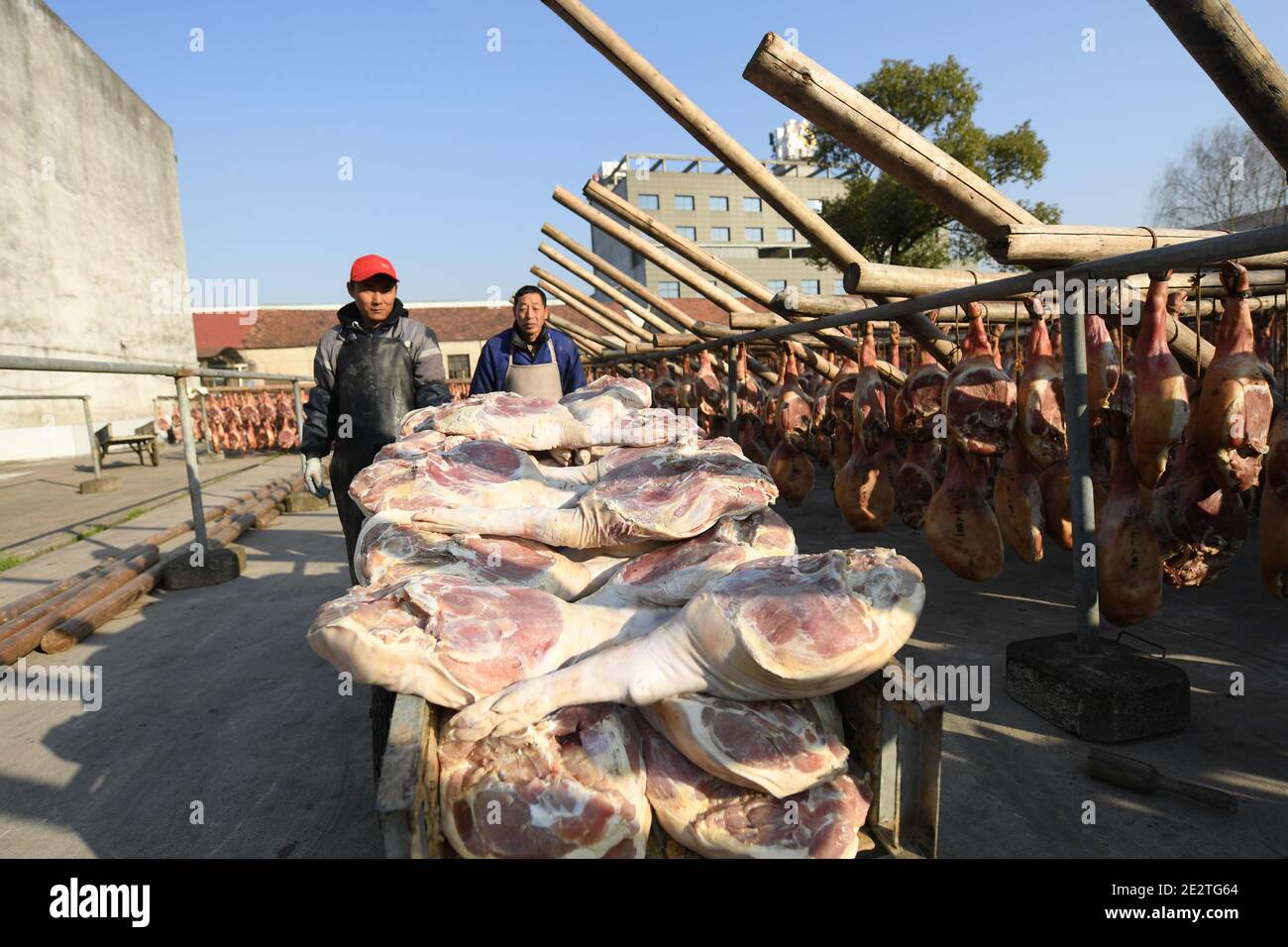 Zhejiang, China's Zhejiang Province. 15th Jan, 2021. Workers push a ...