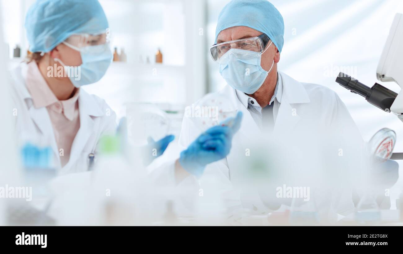 close up. microbiologists discussing the results of a scientific ...
