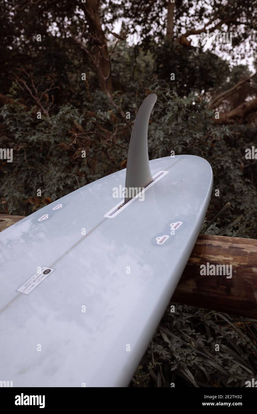 Vertical closeup of a surfing board by the plants Stock Photo - Alamy