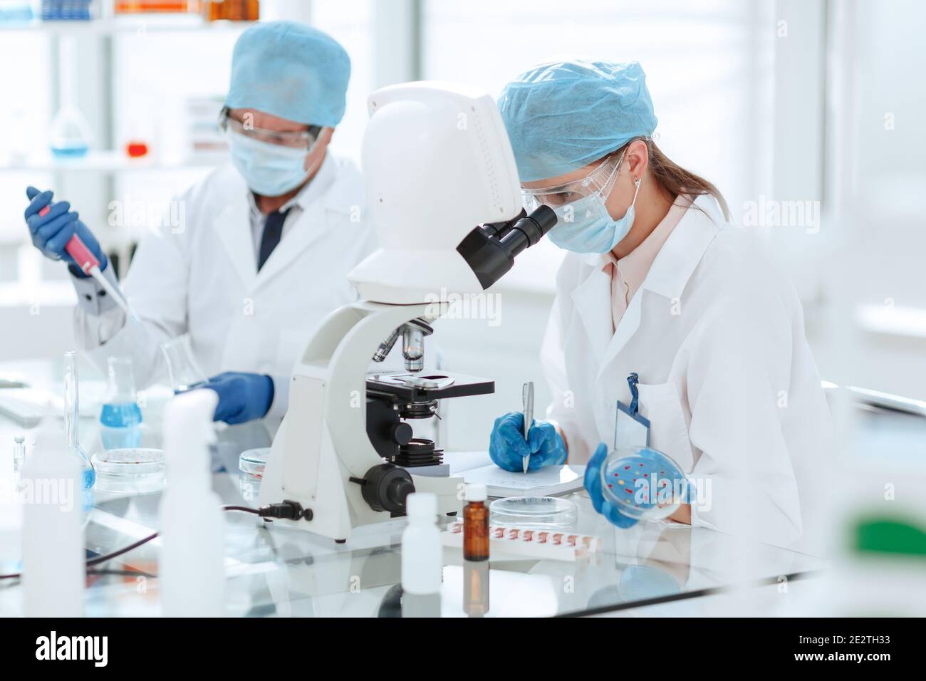 female scientist with a Petri dish sitting at a laboratory table Stock ...
