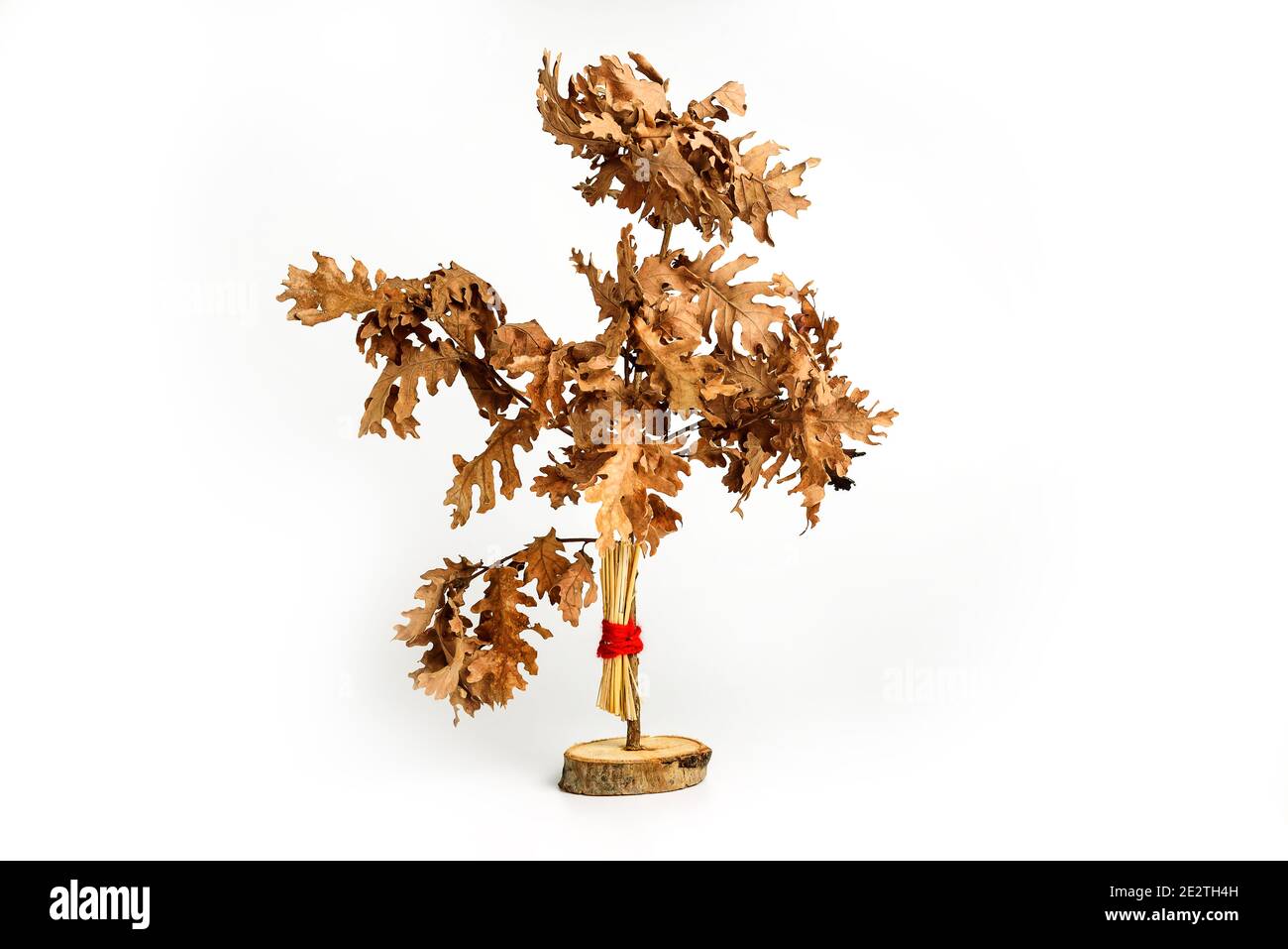 Orthodox Christian celebration - Badnjak. Serbian Christmas - Bozic ...