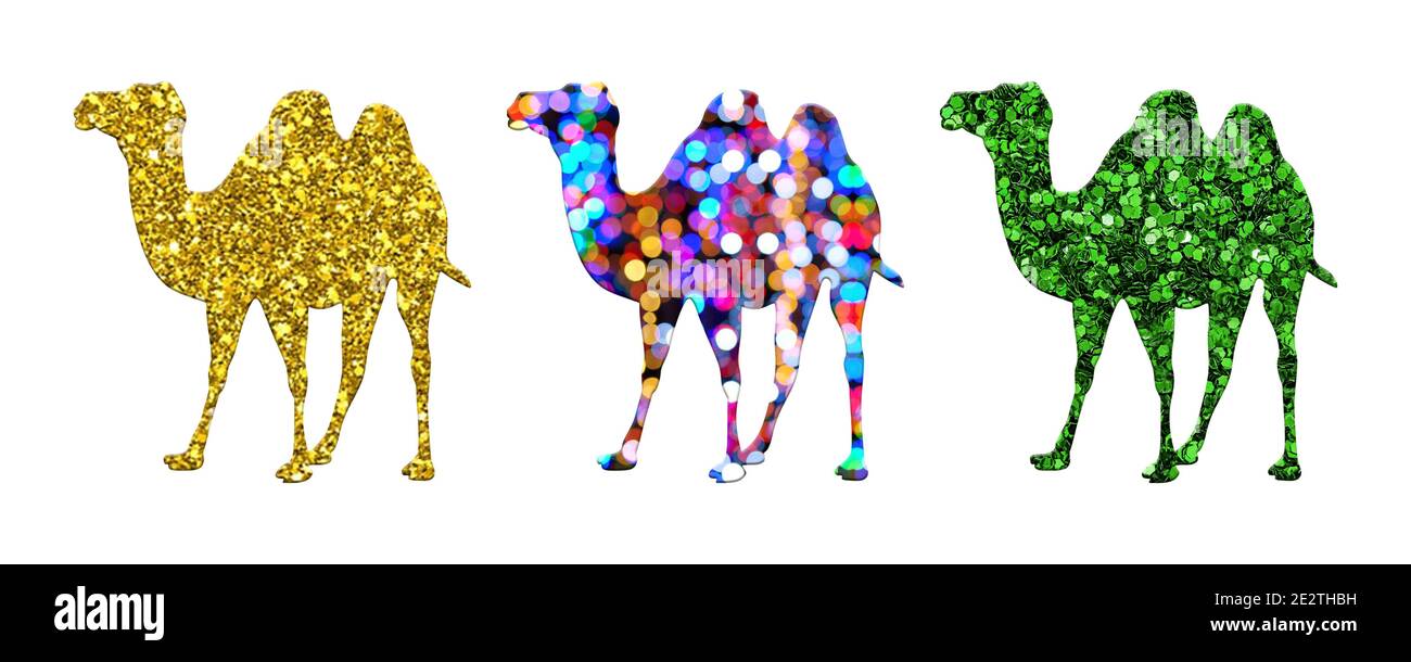 Three camels with different patterns isolated on a white background ...