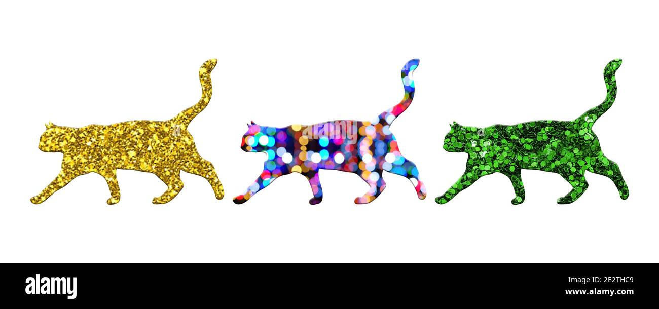 Three cats with different patterns isolated on a white background Stock ...