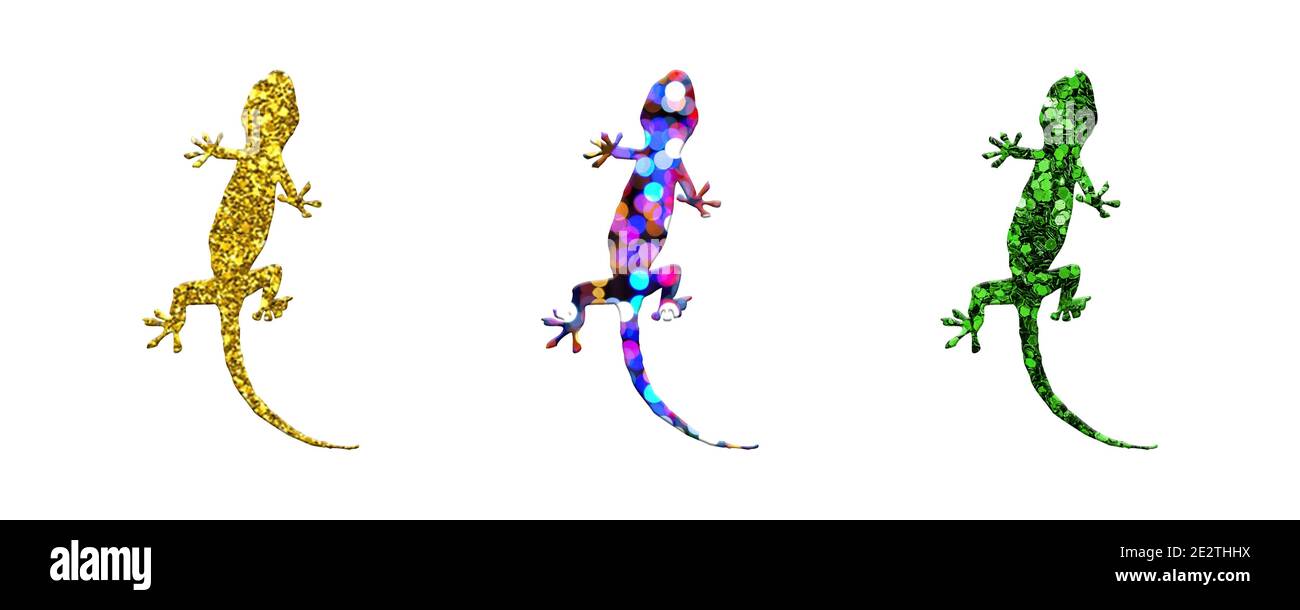 Three lizards with different patterns isolated on a white background ...