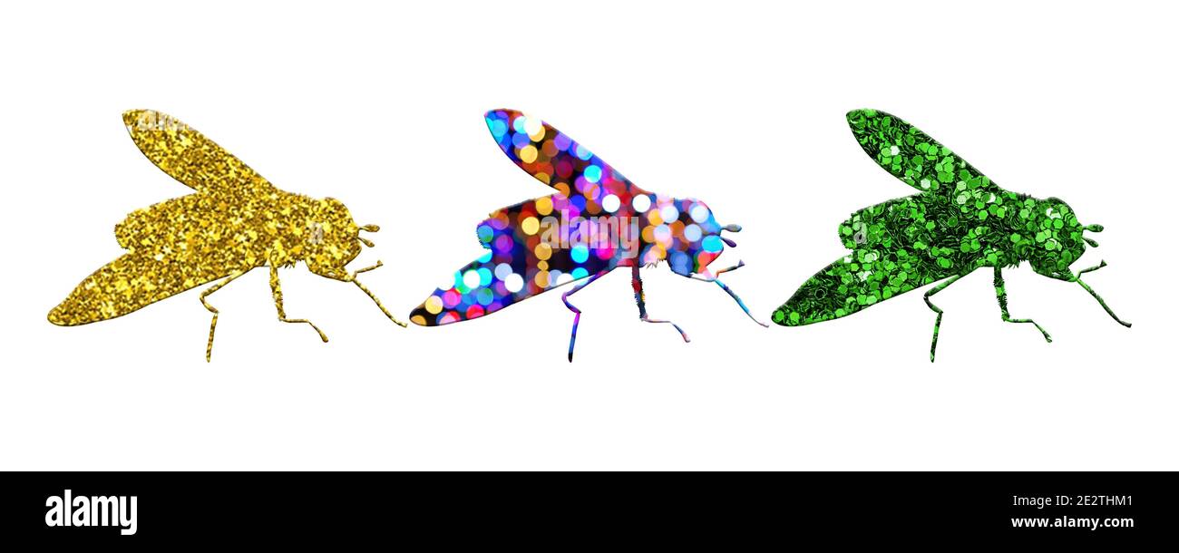 Three flies with different patterns isolated on a white background ...