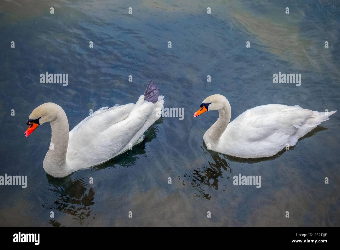 Fairford river hi-res stock photography and images - Alamy