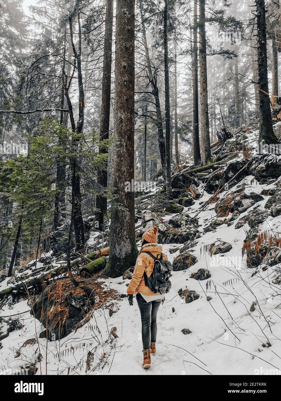 Vertical shot of a person hiking in the mountains during winter Stock ...