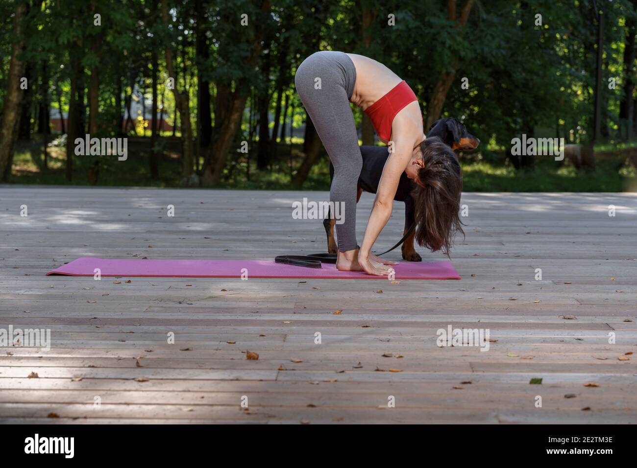 morning yoga concept with your pet. woman doing gymnastics with a ...
