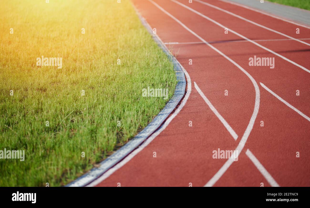 Turn on running sprint arena with grass on sunny day Stock Photo - Alamy