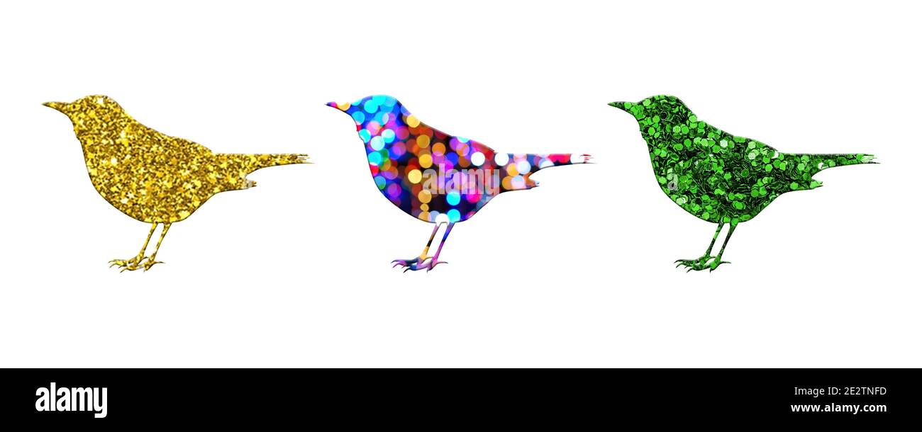 Three birds with different patterns isolated on a white background ...