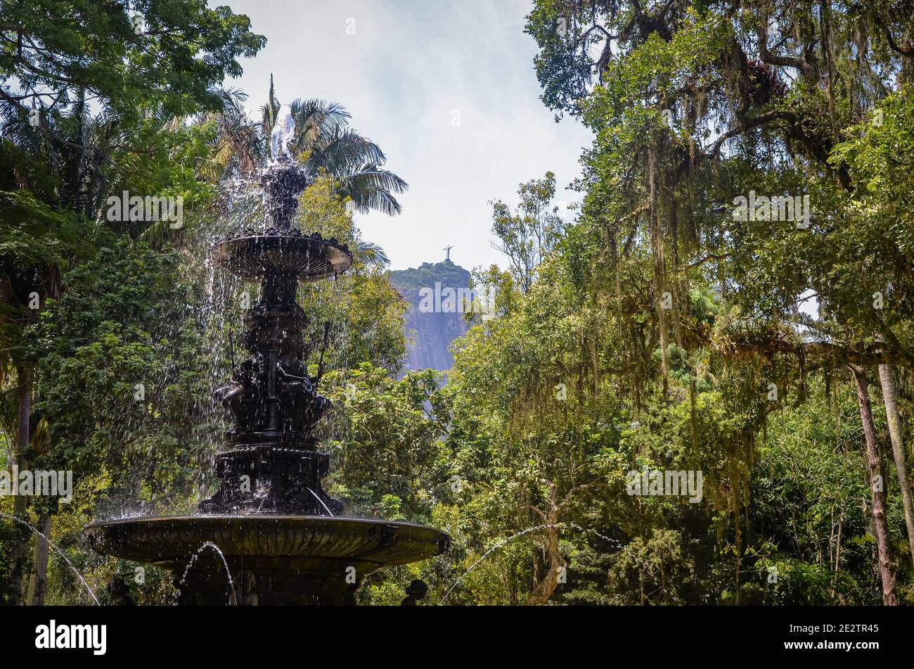 Botanical Gardens (Jardim Botânico do Rio de Janeiro), Brazil Stock ...