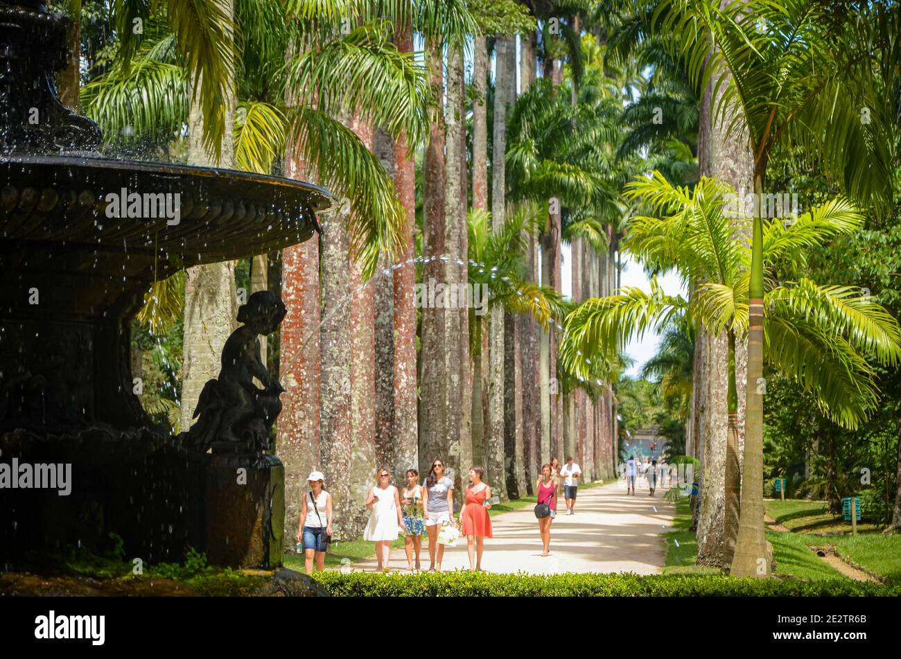 Rio botanical garden hi-res stock photography and images - Alamy