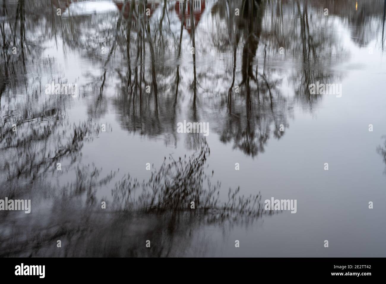 Water reflections of trees in a river. Picture from Eslov, southern ...