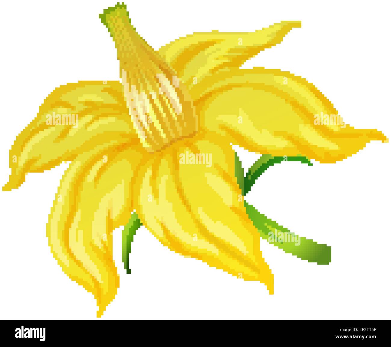 Tomato flower on white background illustration Stock Vector Image & Art ...