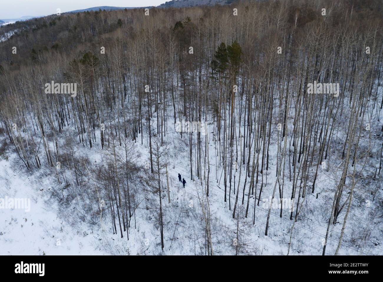 Forest in winter period aerial hi-res stock photography and images - Alamy