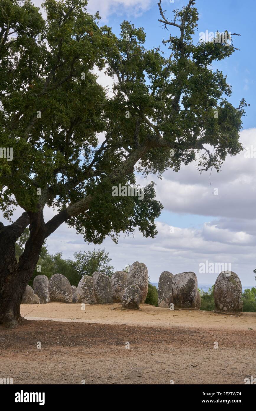 Cromlech of Almendres megalithic stone complex with cork trees in ...