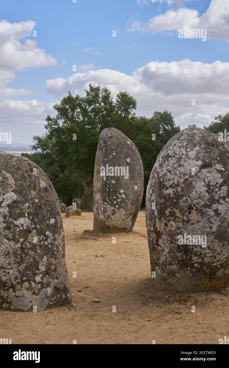 Cromlech of Almendres megalithic stone complex with cork trees in ...