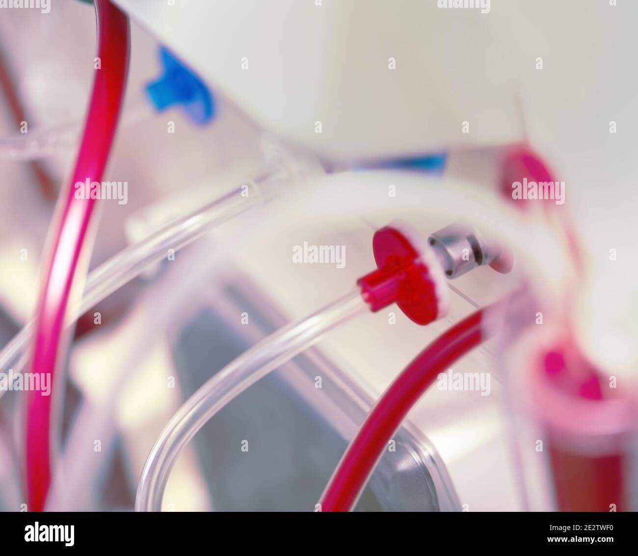 Laboratory plastic tube hi-res stock photography and images - Alamy