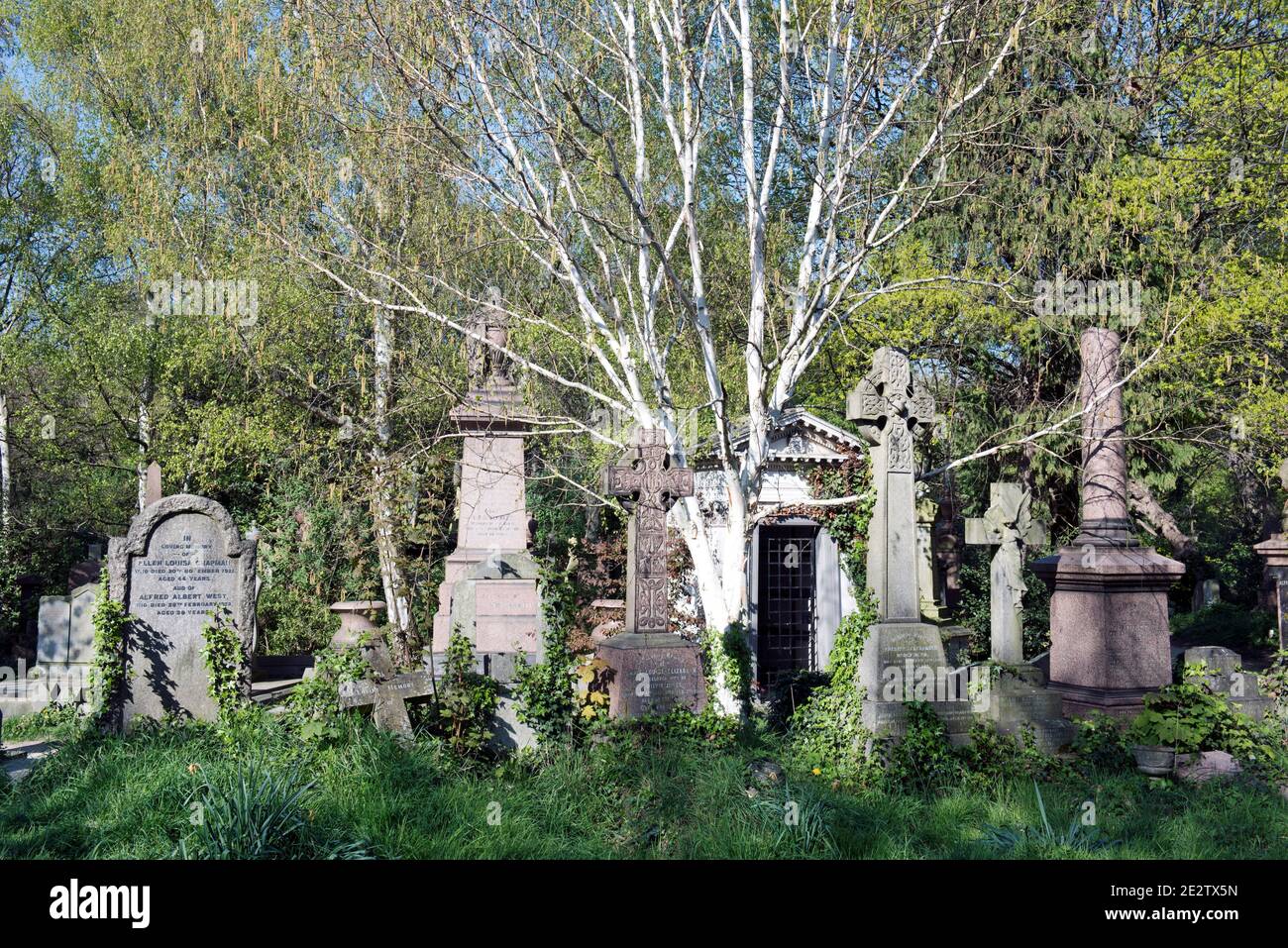 Gravestones amongst the trees with a mausoleum behind Abney Park ...