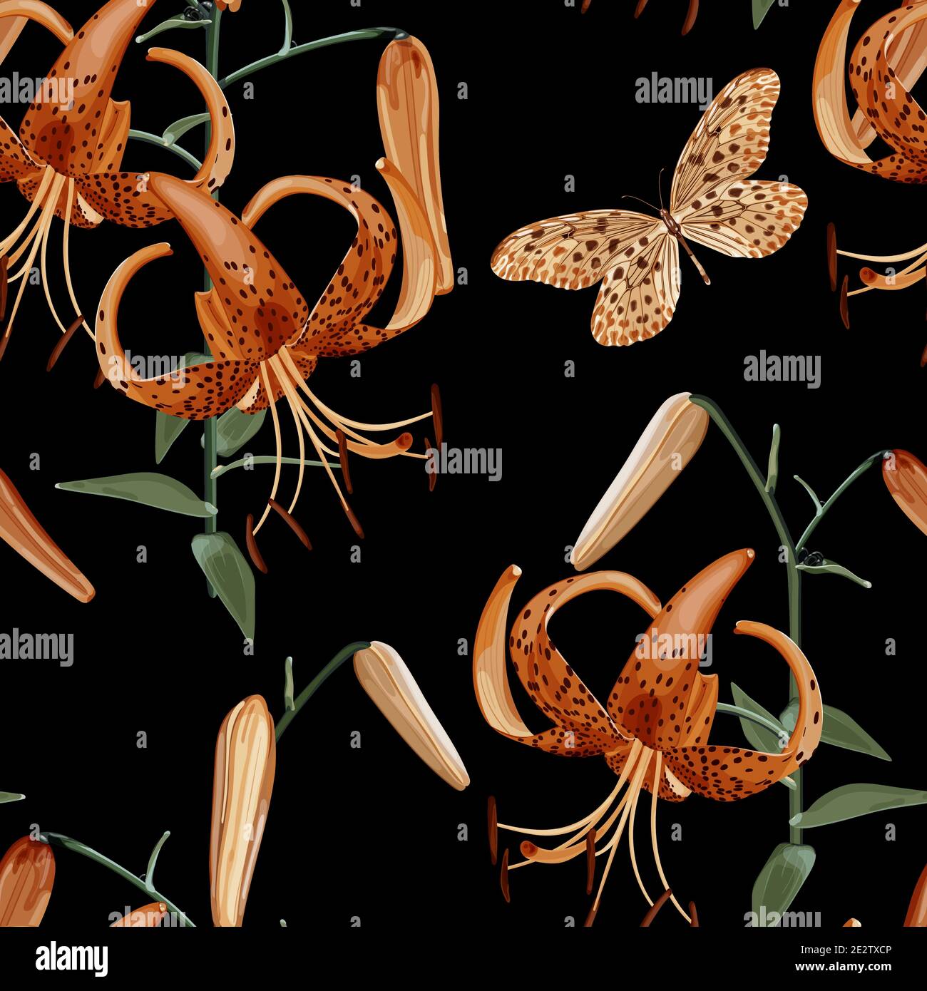 Flower orange lily on Stock Vector Images - Alamy