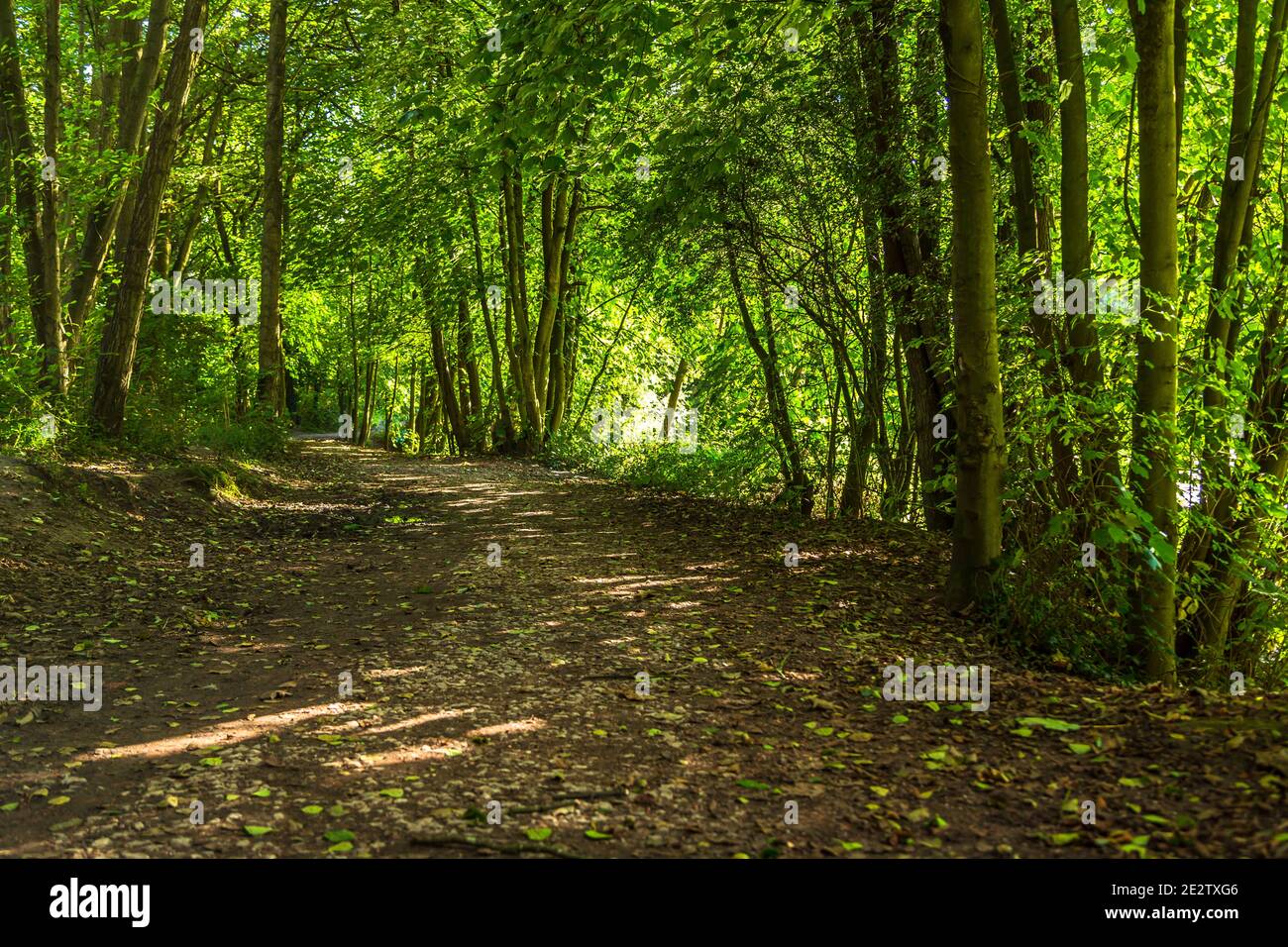 Views of Himley Hall in Dudley Stock Photo - Alamy