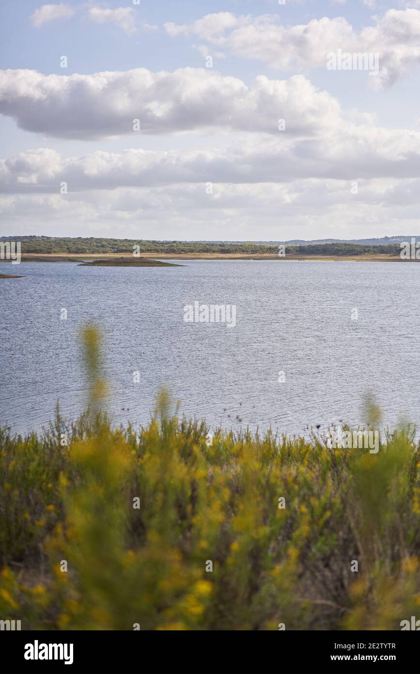Yellow dam hi-res stock photography and images - Alamy