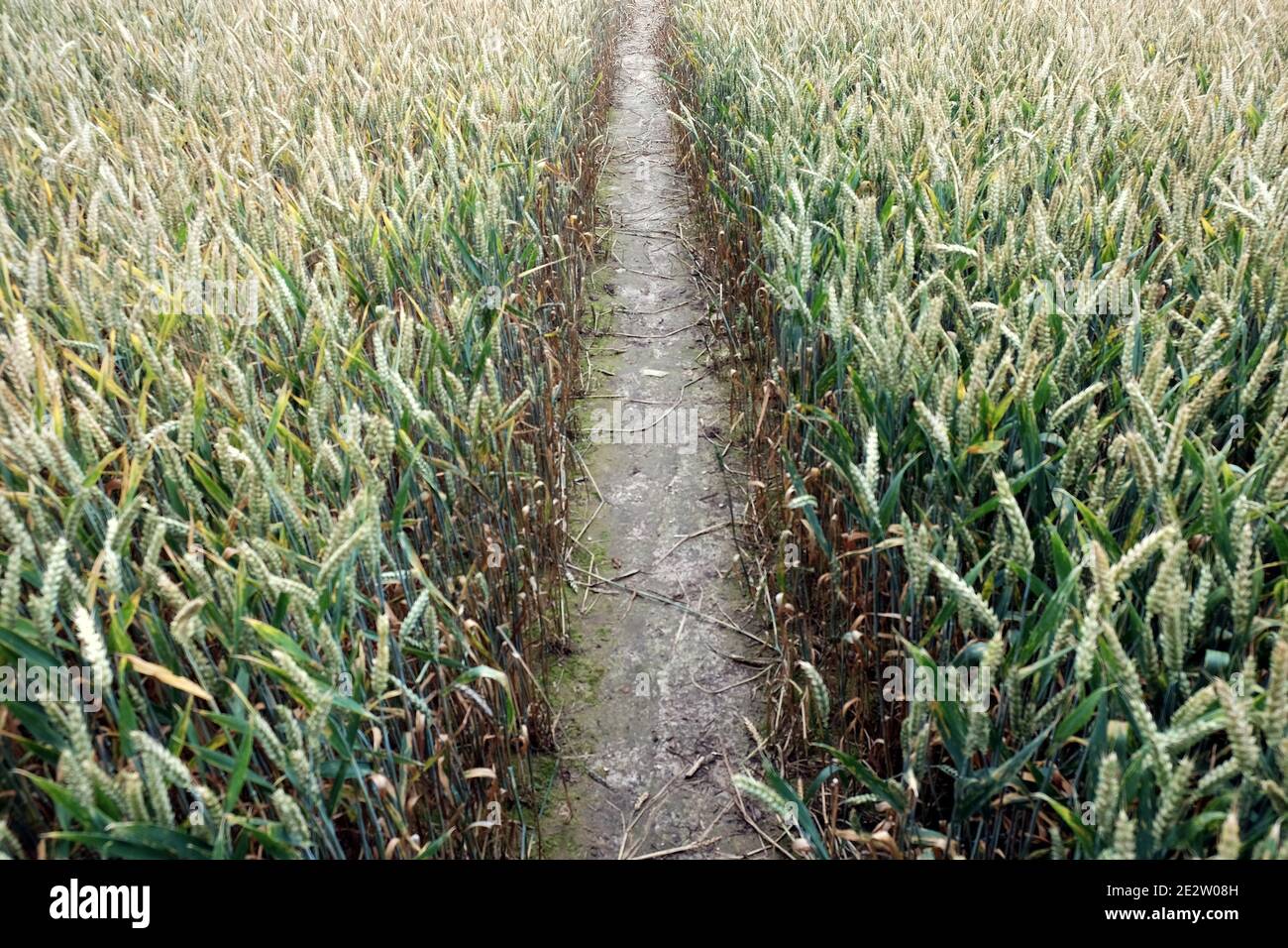 Shot tiny path in hi-res stock photography and images - Alamy