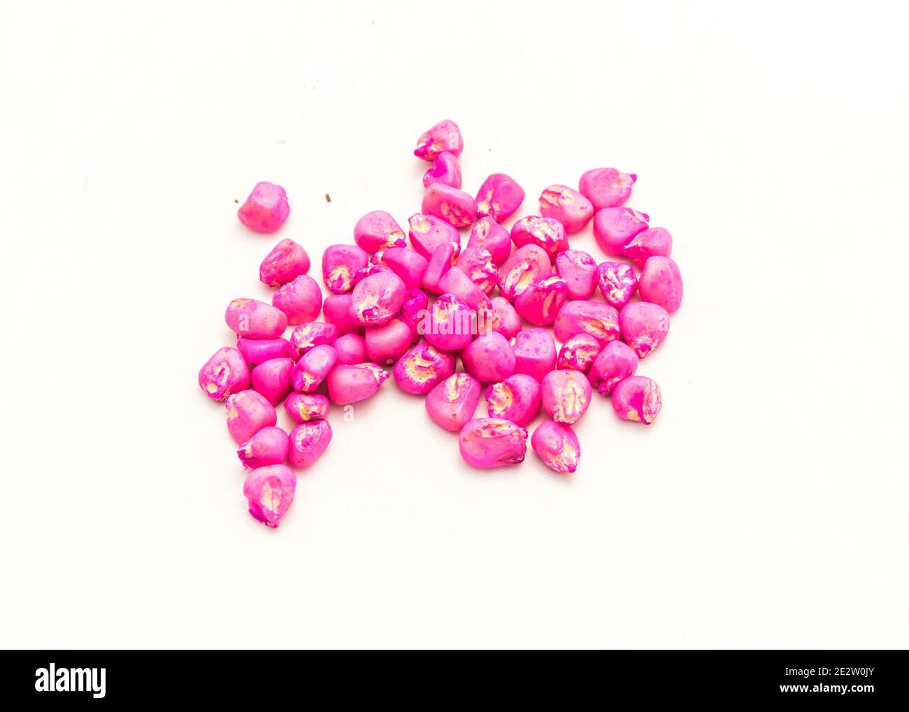 Pile of treated red corn seeds ready for planting in GMO concept ...