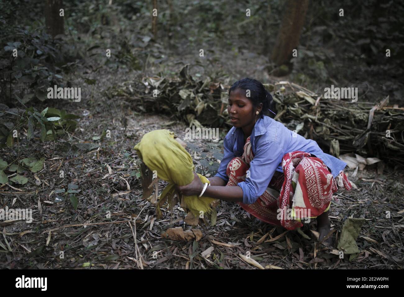 Santal wood hi-res stock photography and images - Alamy