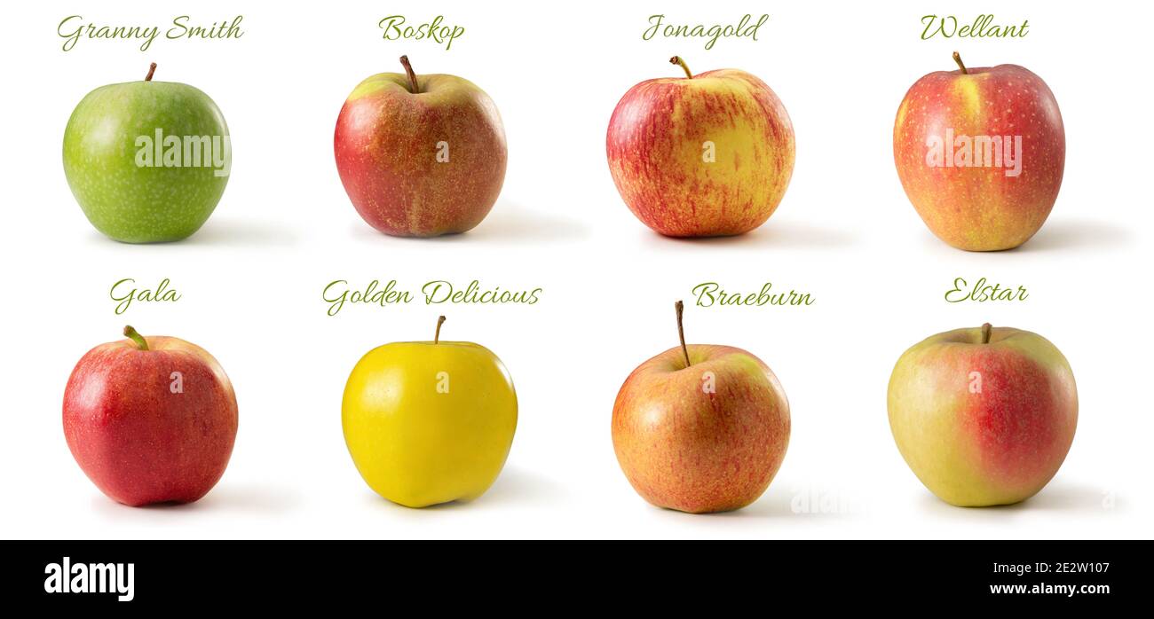 Various varieties apple Cut Out Stock Images & Pictures - Alamy