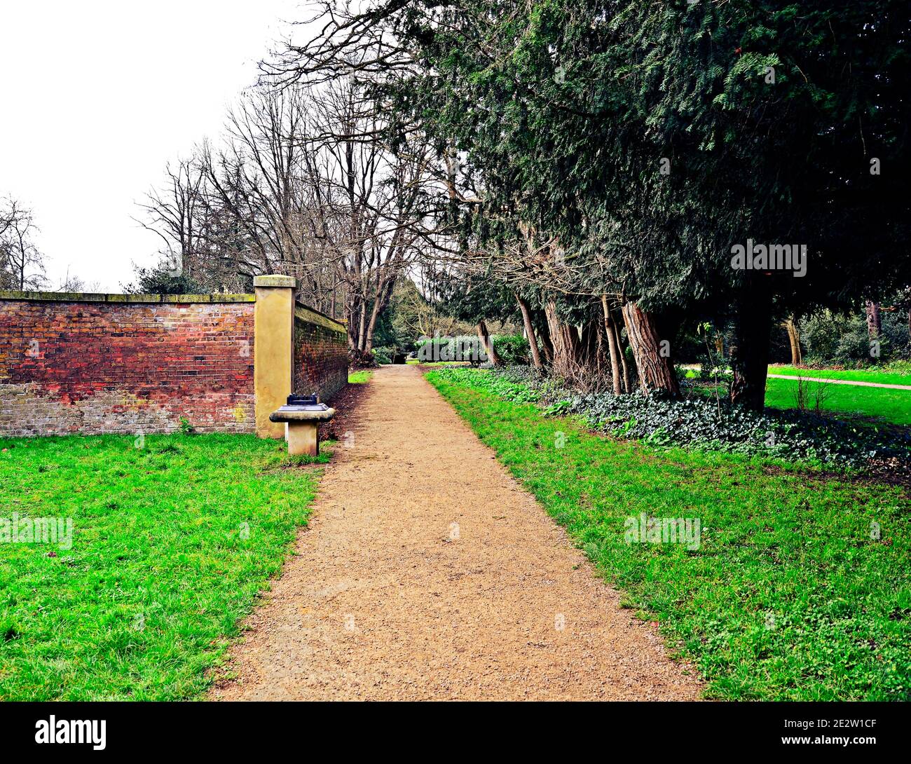 Footpath between wall and trees Stock Photo - Alamy