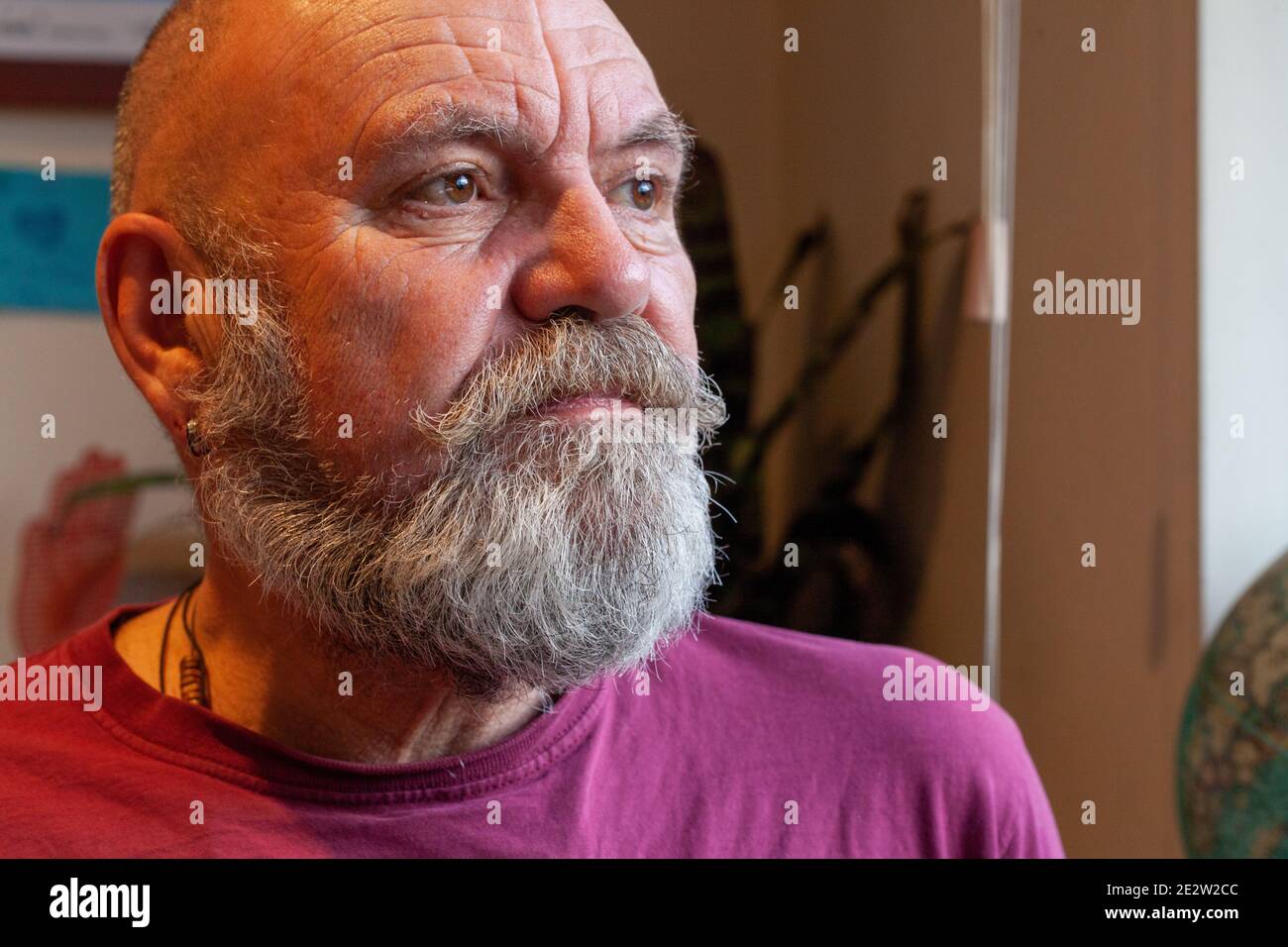 Grey beard on an older man Stock Photo - Alamy