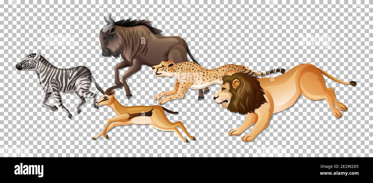 Group of wild African animals on transparent background illustration ...