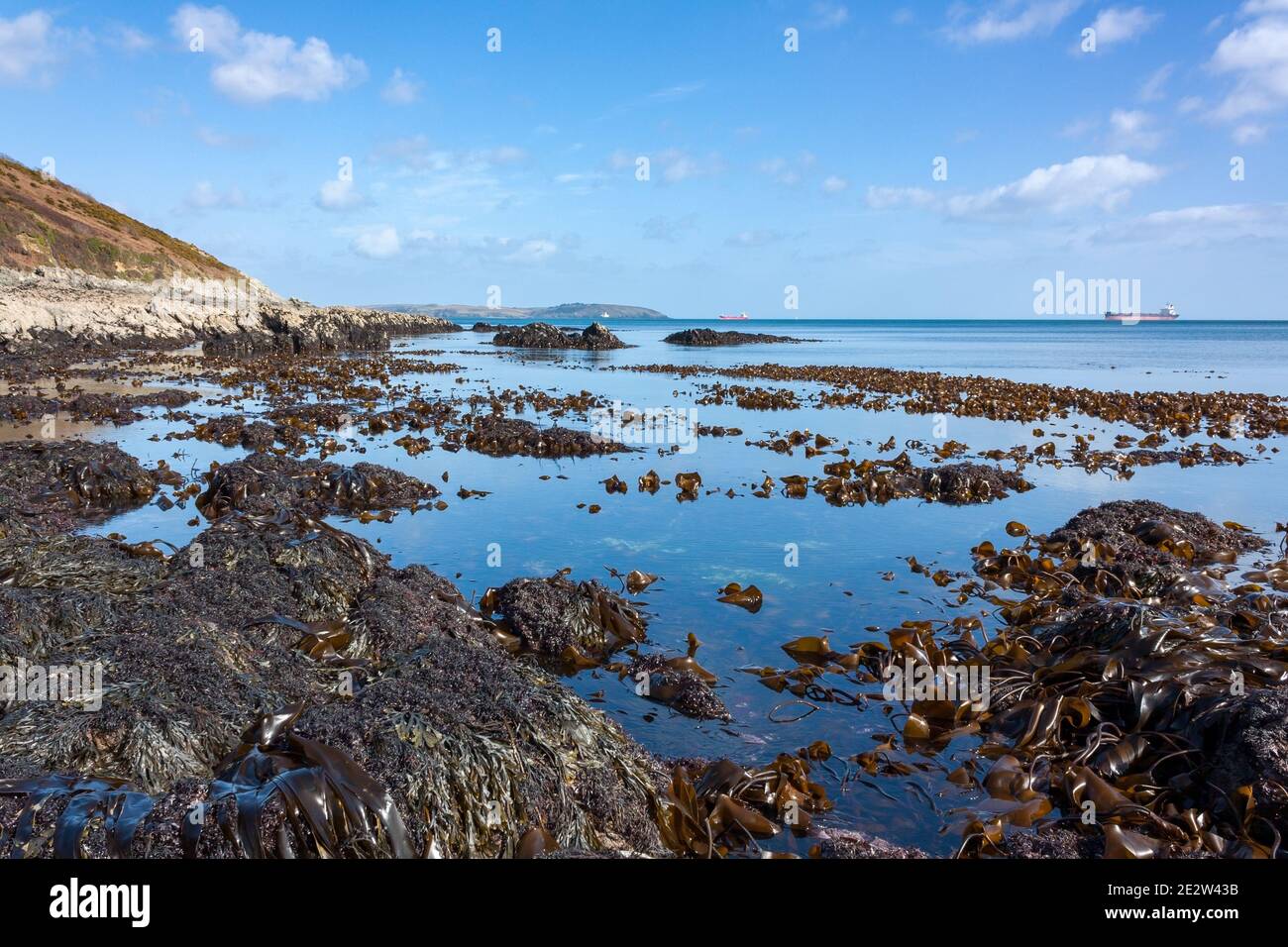 Sunny Cove beach located between Falmouth and Maenporth Cornwall ...