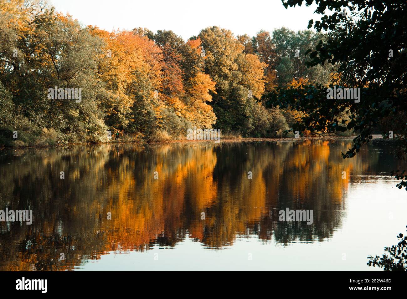 Scenery of a lake reflecting colorful trees in an autumn forest Stock ...