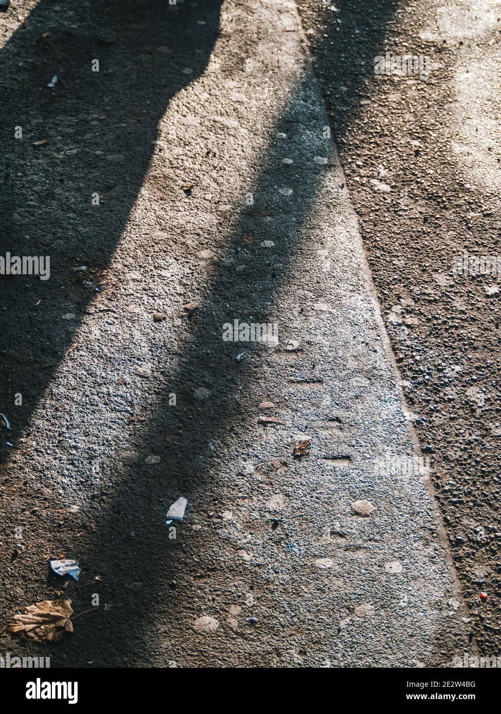 Shadows of tree on asphalt sidewalk surface Stock Photo - Alamy