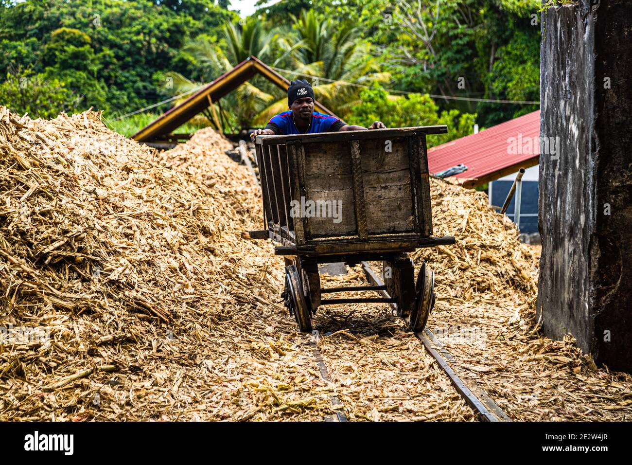 Antoine Rivers Rum Distillery, Saint Patrick, Grenada Stock Photo - Alamy